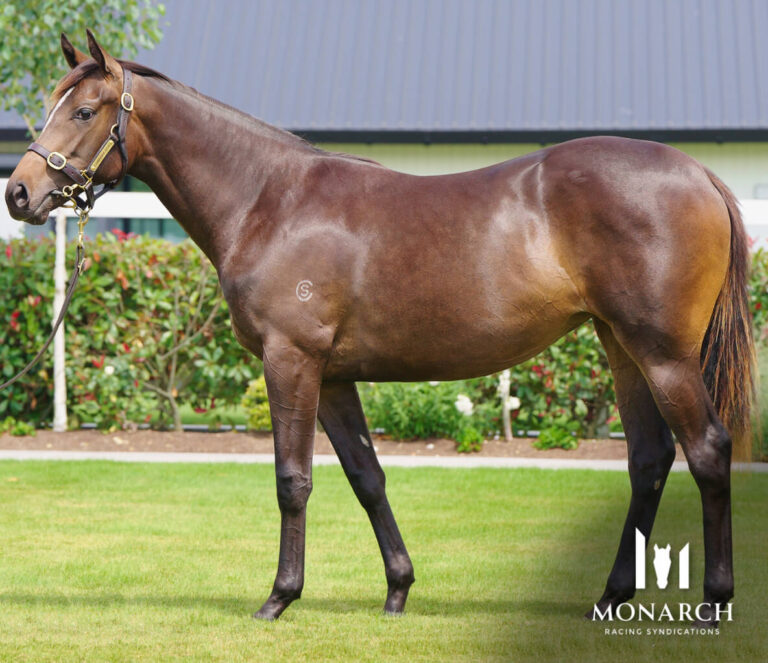 Monarch’s Thoroughbred Stables | Rising Stars of Australian Racing