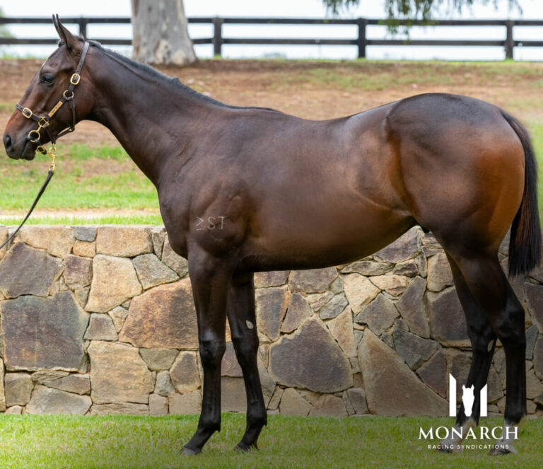 Monarch’s Thoroughbred Stables | Rising Stars of Australian Racing